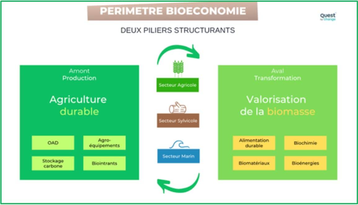 La bioéconomie, qu'est-ce que c'est ? Définition, exemples et objectifs. – INNOVACT